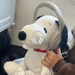 ∿ Vinyl Text Decor – Discord.Do