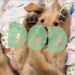 Dogs of Discord | Social • Animals • Giveaways • Emojis • Pets • Anime ...