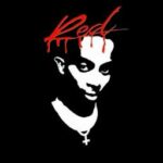 Playboi Carti – Discord.Do