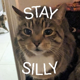 Stay silly – Discord.Do