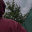 Gambo Hub – Discord