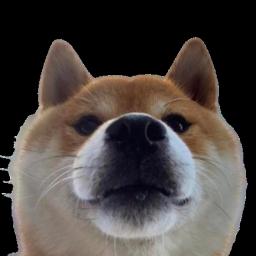 Project Nugget – Discord.Do